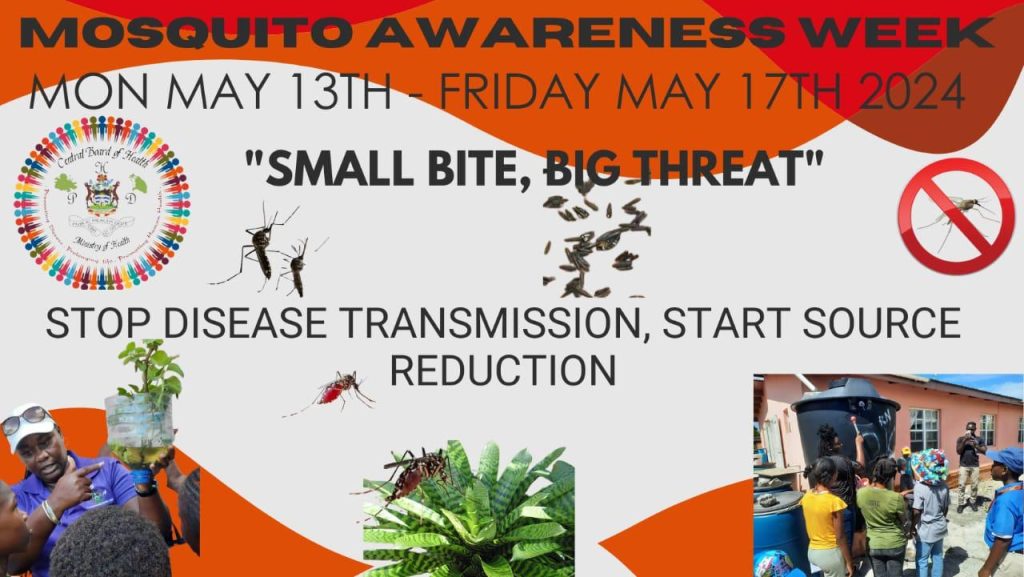 Primary school students visit Mosquito Awareness Week display - Pointe ...