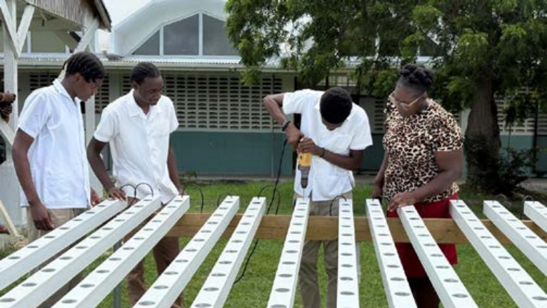GARD Centre launches second phase of hydroponic project at Pares ...