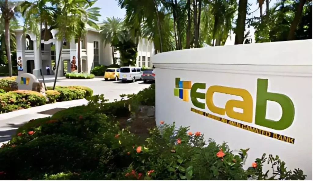 Cabinet voices frustration with ECAB’s ‘delaying tactics’ over shares ...